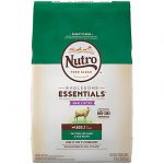 Best Nutro Dry Dog Food